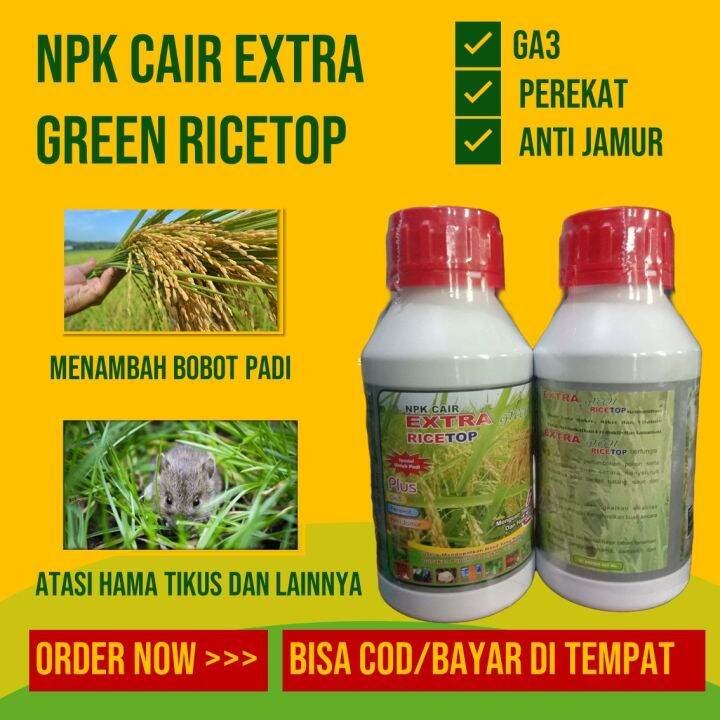 (NEW) ZPT Penambah Bobot Padi Terbaik dan Mengatasi Hama Tikus, Wereng dll RICETOP - Pupuk Cair ...