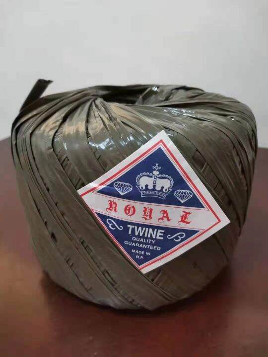 Plastic Twine 1kg | Lazada PH