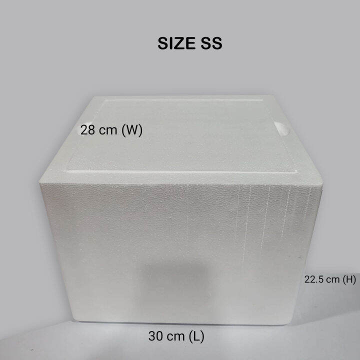 STYROFOAM ICE BOX/ COOLER BOX/ PICNIC BOX/ FOAM BOX | Lazada