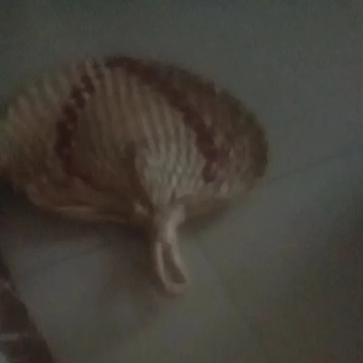 pamay papay handecraft | Lazada PH