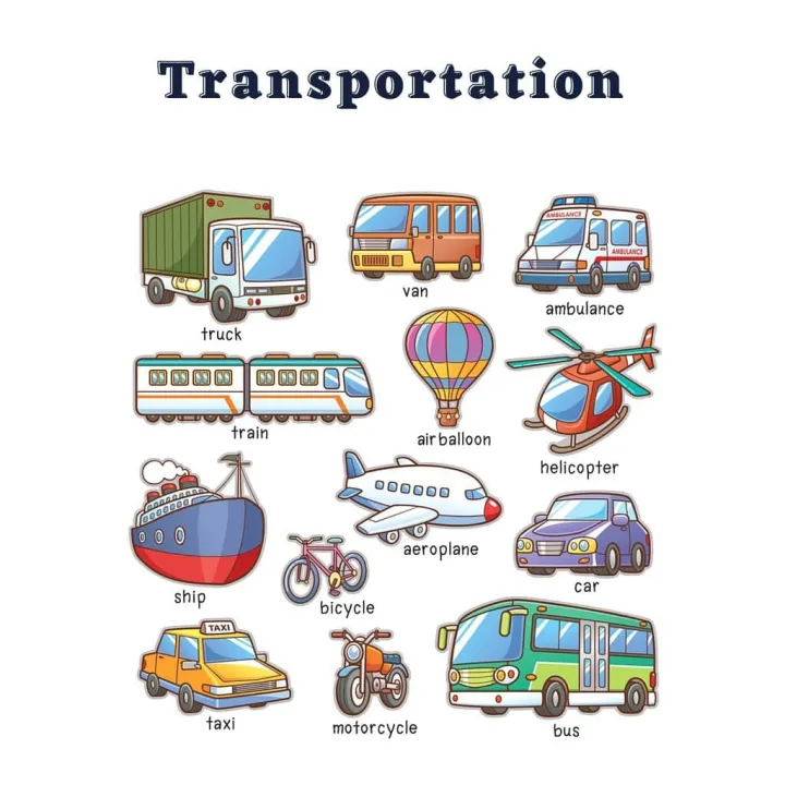 Educational Laminated Chart for Kids TRANSPORTATION | Lazada PH