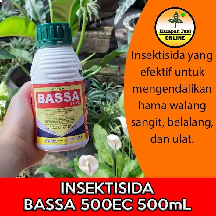 Bassa 500EC 500mL | Insektisida Walang Sangit, Belalang, Ulat | Lazada ...