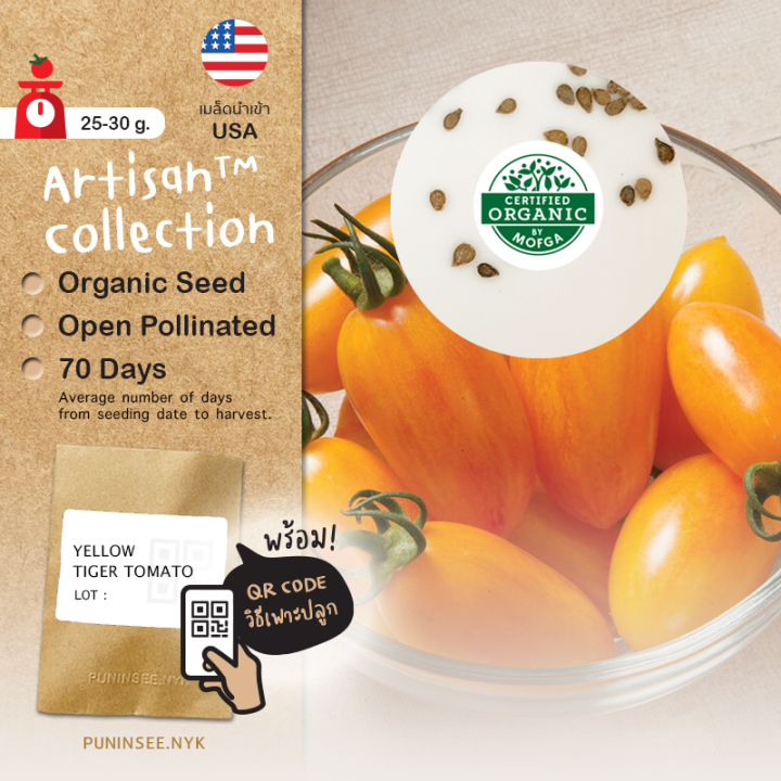 เมล็ดผักนำเข้า มะเขือเทศเชอรี่ ลายเสือสีเหลือง Yellow Tiger Tomato ...