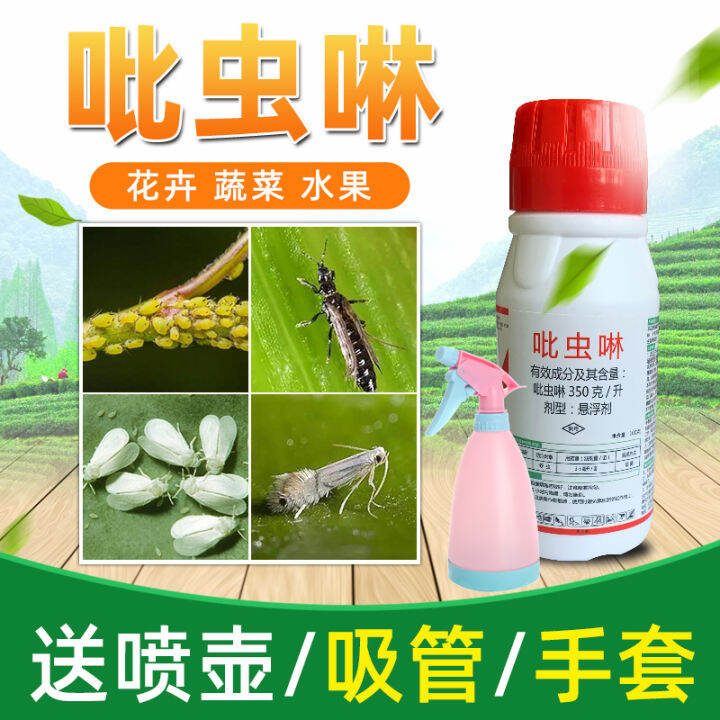 Aphids special medicine flowers plants bared insecticide pesticide ...