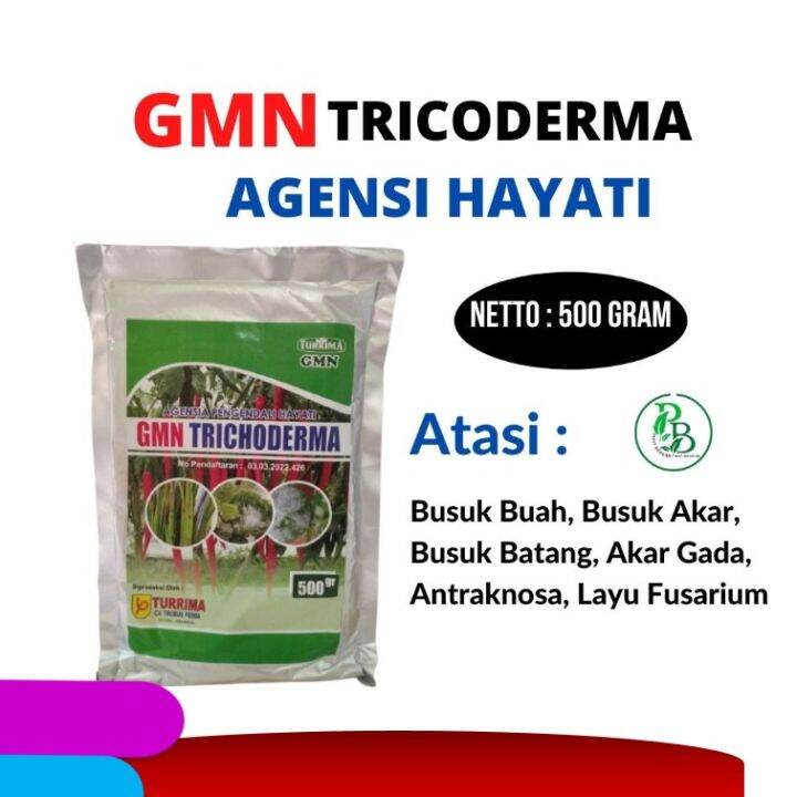 GMN Fungisida Tricoderma Hayati padat 500 gram, Pupuk Hayati Busuk Buah ... GMN Fungisida Tricoderma Hayati padat 500 gram, Pupuk Hayati Busuk Buah ...