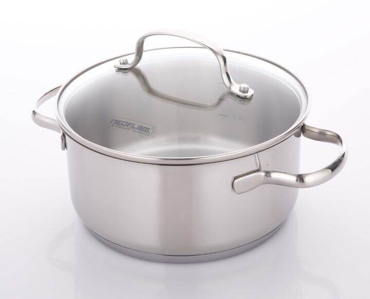 Neoflam Stainless Casserole with Glass Lid 22cm with Gift Box 24.3 x 15 ...