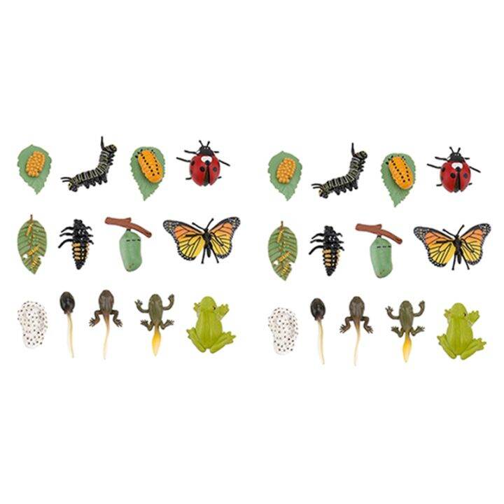 6 Sets Insect Figurines Life Cycle of Butterfly Frog Ladybug ...