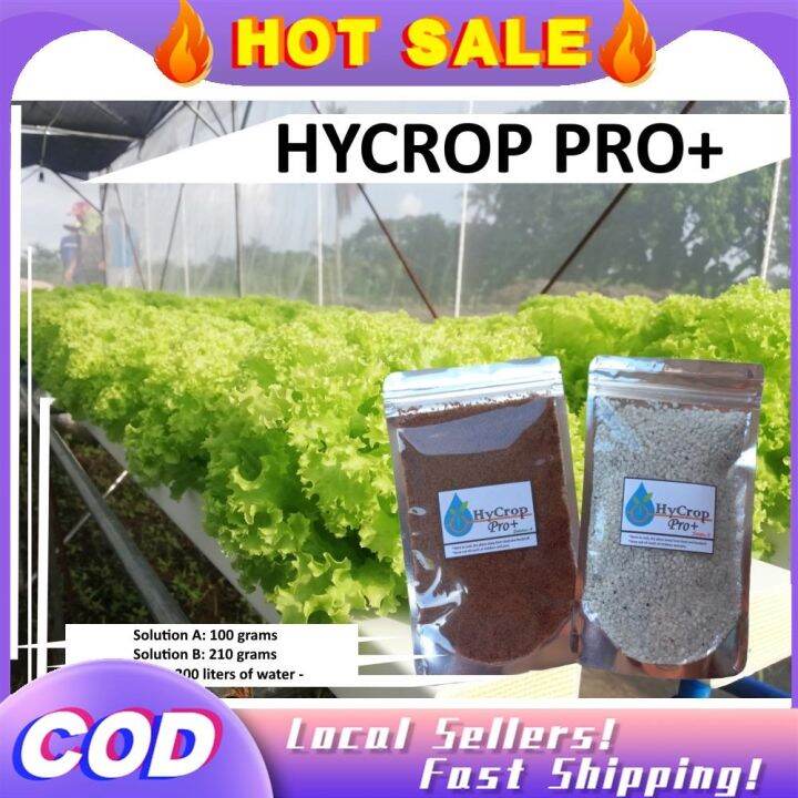 【COD/READY】 HyCrop Nutrient Solution for Hydroponics (Premix Formula ...