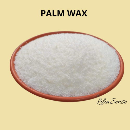 Palm Wax Candle Wax for Candle Making/Batik Dye/Cosmetics Lilin Kelapa ...