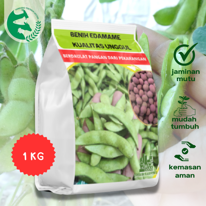 1 Kg Benih Edamame PREMIUM Kedelai Jepang Jumbo Ryoko | Lazada Indonesia