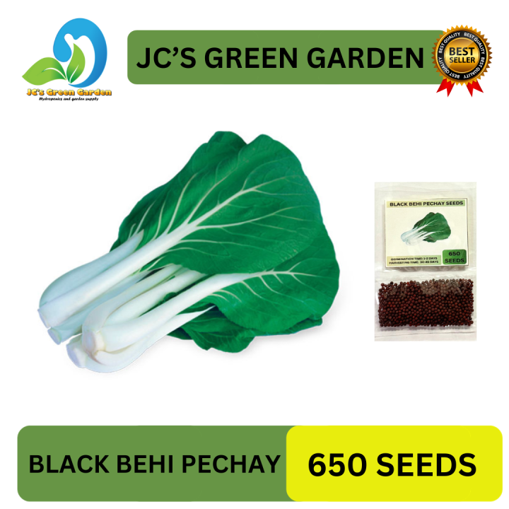 VALUE PACK (650 SEEDS) BLACK BEHI PECHAY SEEDS | Lazada PH
