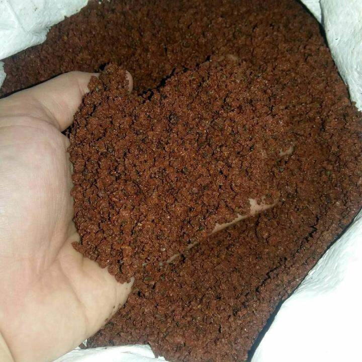 Pasir malang merah /pasir vulkanik 1 kg | Lazada Indonesia