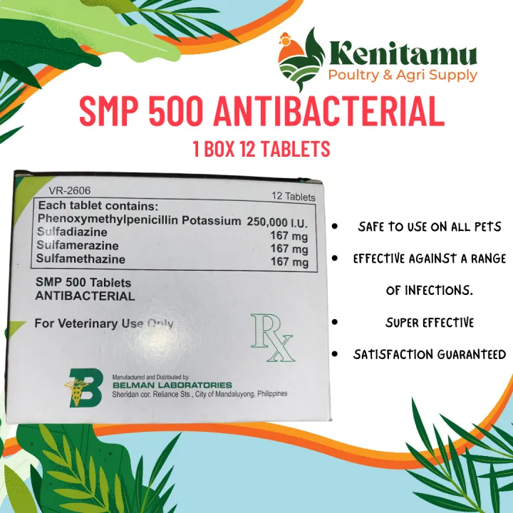 SMP 500 ANTIBACTERIAL (1 BOX 12 TABLETS) | Lazada PH
