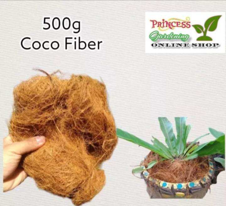 500grams vale Organic Coconut fiber |Coco Coir for plants Best for ...