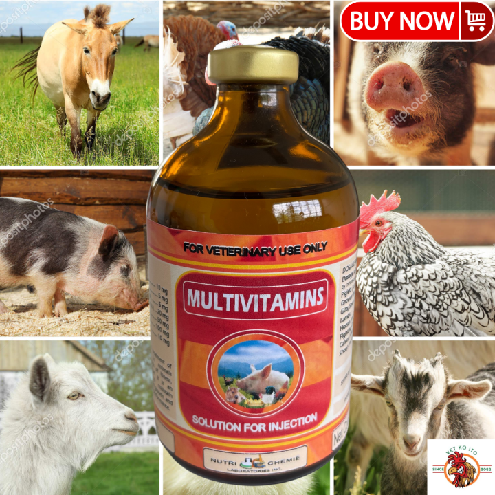 Multivitamis for animals | Lazada PH