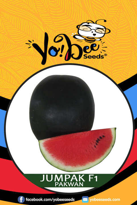 Pakwan Seeds Watermelon Seeds Jumpak Pakwan Yobee | Lazada PH