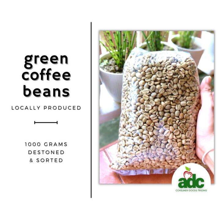 GHY-1 KILO Green Coffee Beans - Barako,Arabica, Excelsa, Robusta (R A W ...