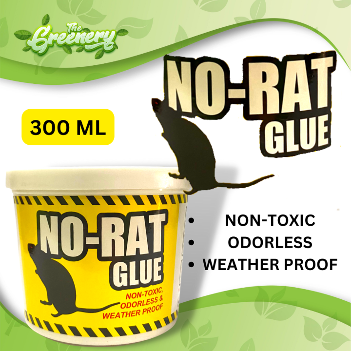 NO RAT GLUE 300ML | Lazada PH