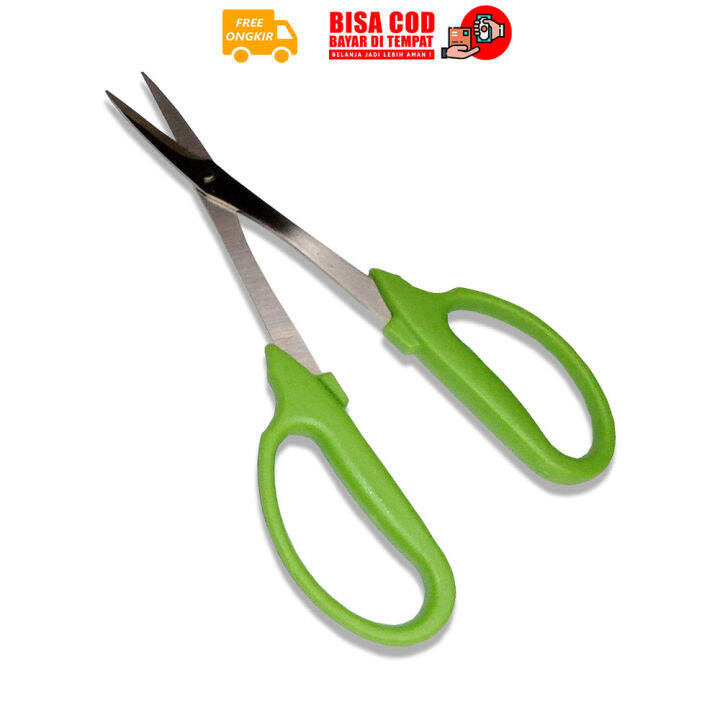 Gunting Pruning Ranting Daun Akar Dahan Bonsai 21 centimeter stainless ...