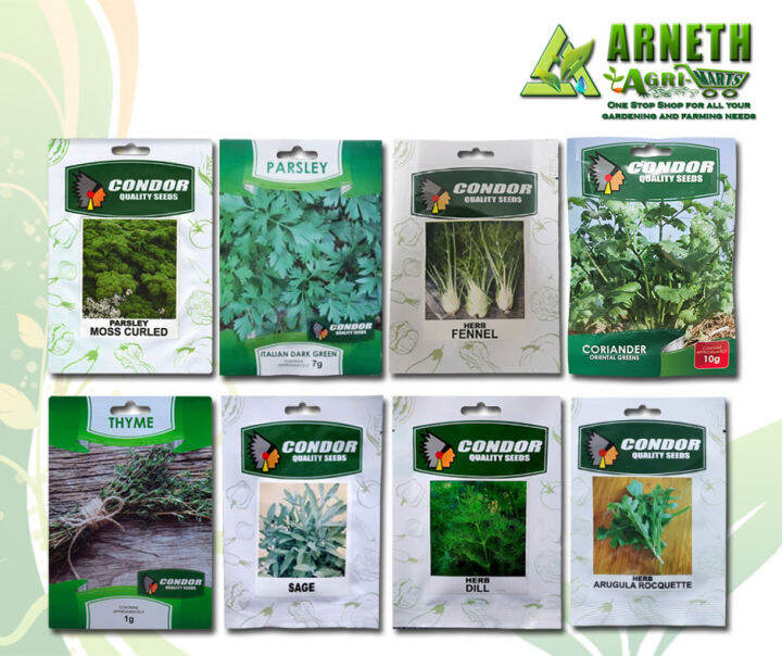 CONDOR HERB PLANT SEEDS FOR GARDEN HERB SEEDS FOR PLANTING | Lazada PH