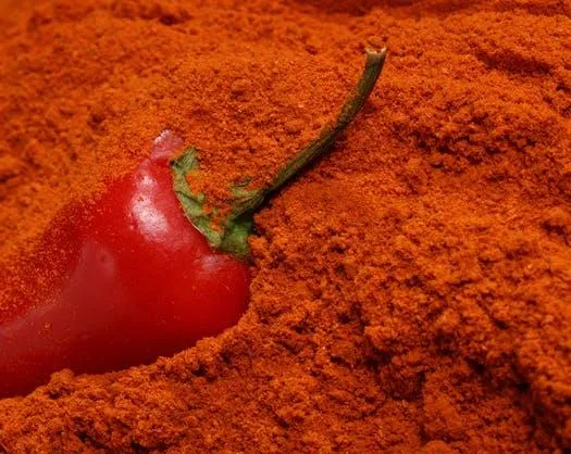 Chinese Paprika Powder 100g | Lazada PH