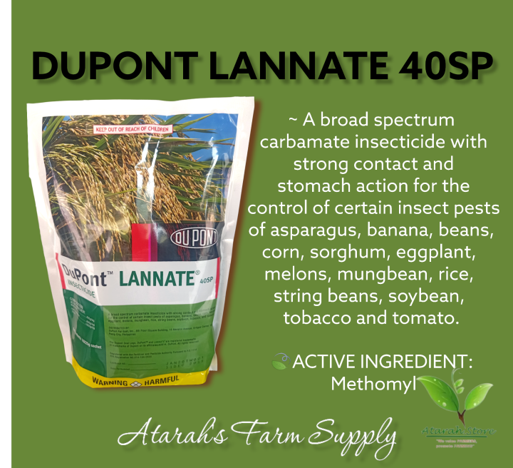 Dupont™ Lannate 40 SP Insecticide | Lazada PH