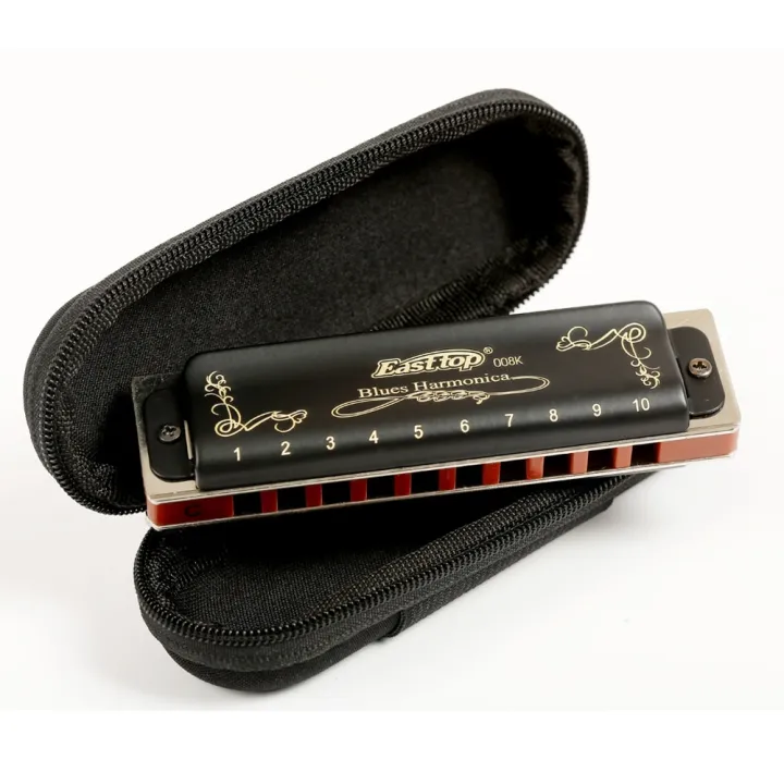 Professional Jazz Blues 10 Holes Harmonica Musical Instrument | Lazada PH