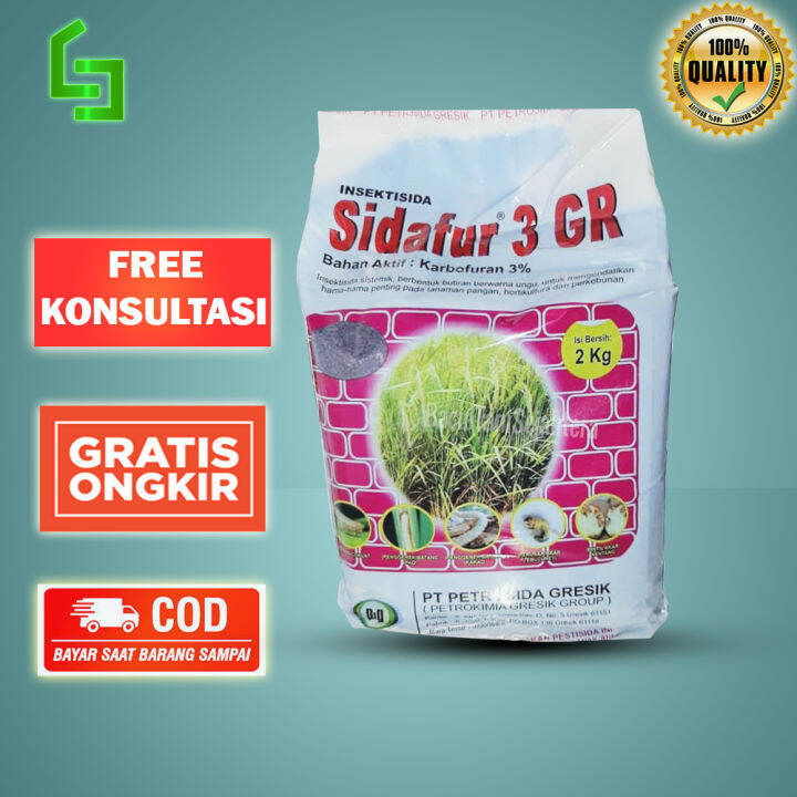 SIDAFUR 3 GR 1 KG INSEKTISIDA racun hama wereng coklat | Lazada Indonesia