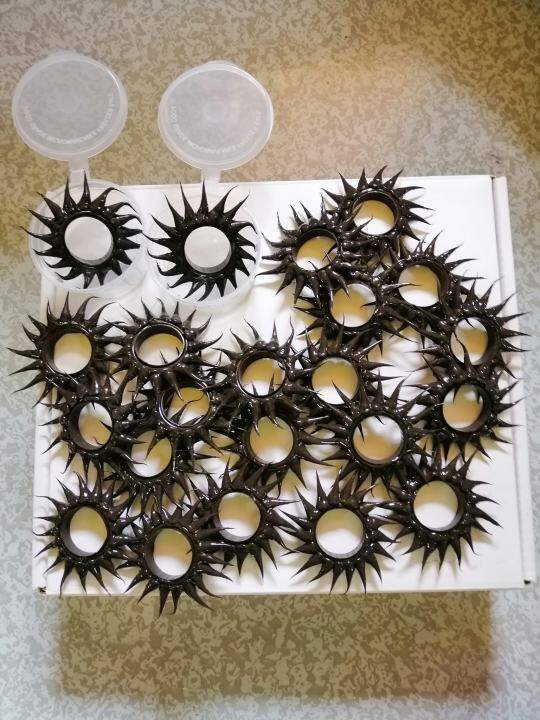 Secret Sex Toy New Version Rambutan Silicon Ring Bolitas Style Pilik