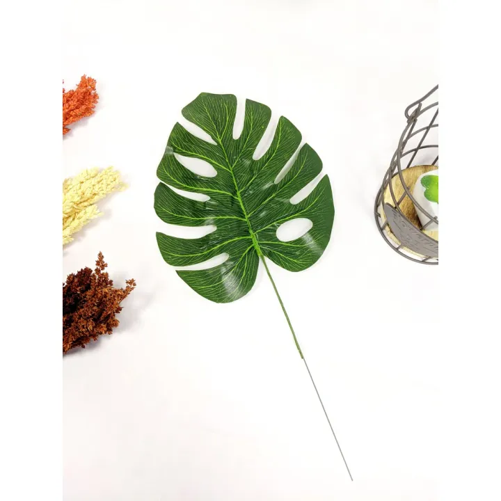 DAUN MONSTERA / DAUN AESTHETIC / DEKORASI RUANGAN/ DAUN PAKU / DAUN ...