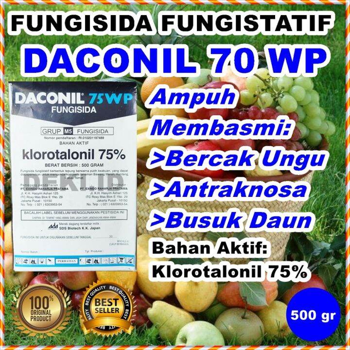 Daconil 75 WP 500 Gr Fungisida Sistemik Klorotalonil Pembasmi Hama Jamur Tanaman Bunga Buah ...