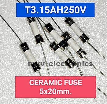 (5ตัว) 3.15A 250V , T3.15AH250V , Ceramic Fuse With Pin 5x20mm. Slow ...