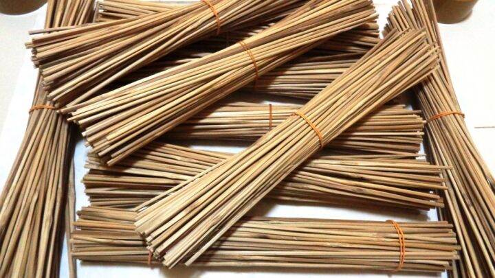 STIK BAMBU 1,5-2 METER ISI 25 AJIR TANAMAN TURUS TANAMAN HIAS | Lazada ...