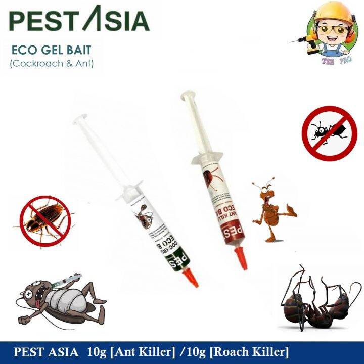 PEST ASIA Ant Eco Gel Bait, 10g [Ant Killer] & Cockroach Eco Gel Bait, 10g [Roach Killer] | Lazada