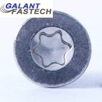 Screw - Torx Recess | Lazada