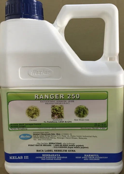 4L racun rumpai Ranger 250 / akar ruas-ruas & senduduk " ready stock ...