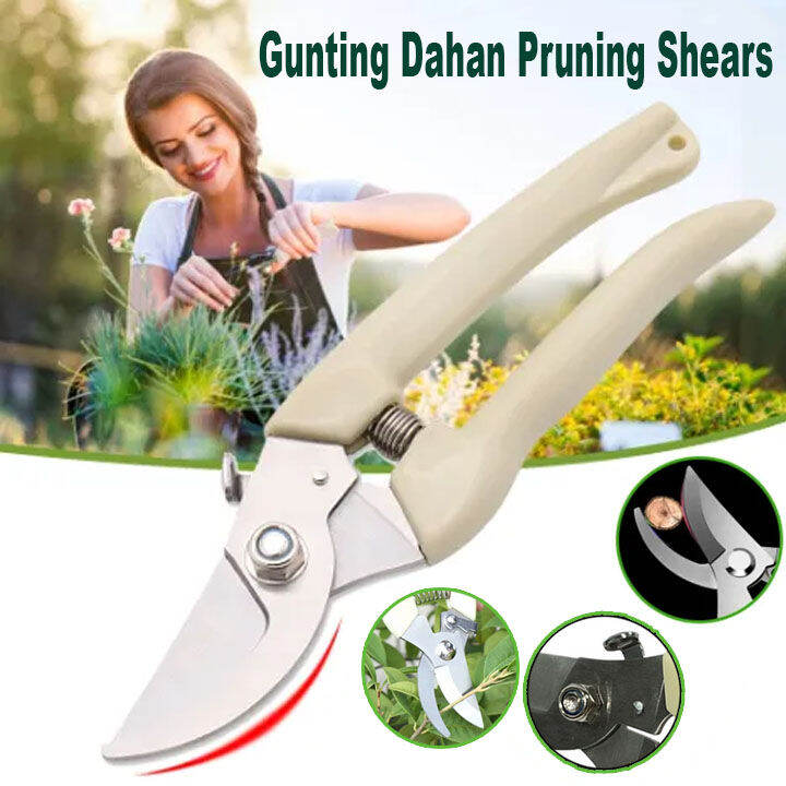 Gunting Dahan Batang Ranting Kebun Taman Daun Buah Lengkung Bunga ...