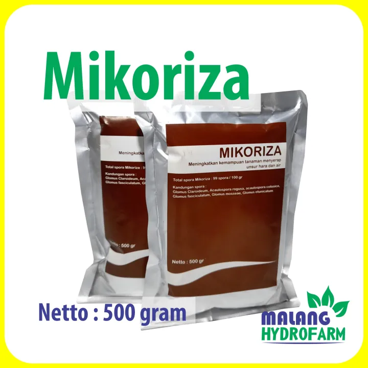 Pupuk Hayati Mikoriza 500 g spora jamur pertumbuhan kompos alami ...