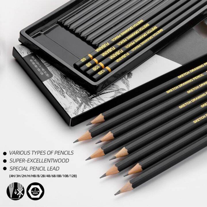Professional Drawing Sketching Pencil Set, 12 Pieces Art Pencils Graphite Shading Pencils For ...