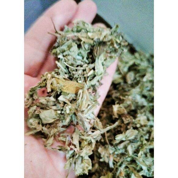 tea Dried Mugwort (Damong Maria) leaves CHEAPEST | Lazada PH