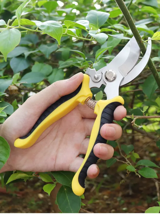 Pruner Garden Scissors Professional Sharp Bypass Pruning Shears Tree ...