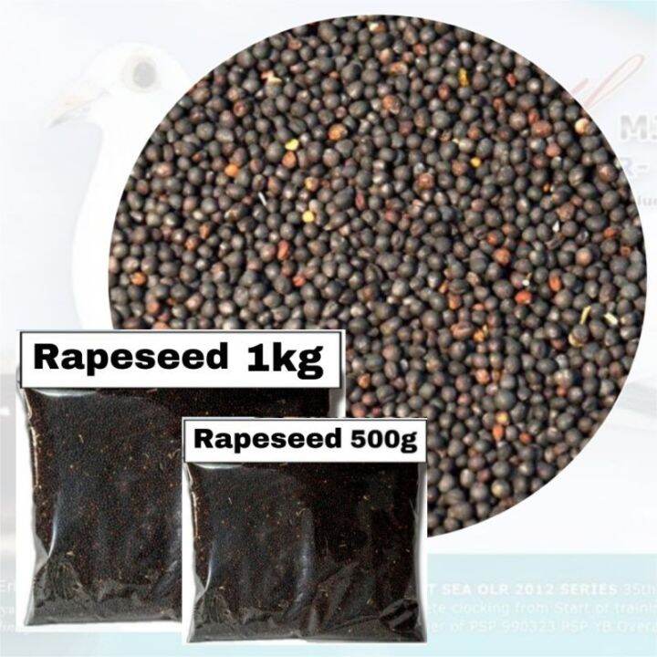 ♒Rapeseed for birds 500gms and 1kg♒ | Lazada PH