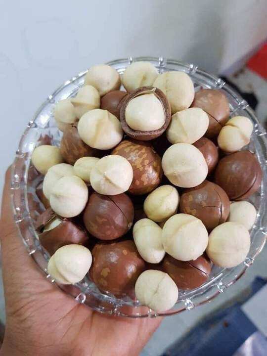 COMBO 6 HỘP MACCA -03 Kg Hạt Macca Đắk Lắk - Hạt Macca nguyên hạt nứt ...