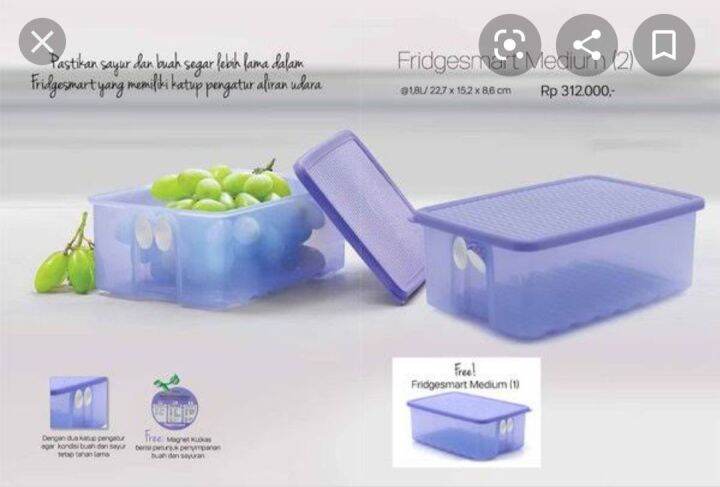 Fridgesmart medium by tupperware (2pcs) | Lazada Indonesia
