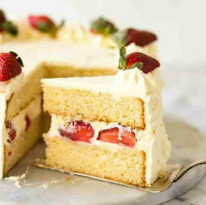 PURATOS TEGRAL Vanilla Sponge Mix 500g (HALAL) | Lazada