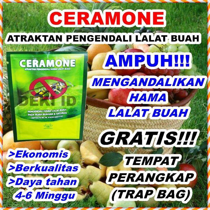 Ceramone Atraktan Pengendali Hama Lalat Buah Pembasmi Serangga Tanaman ...