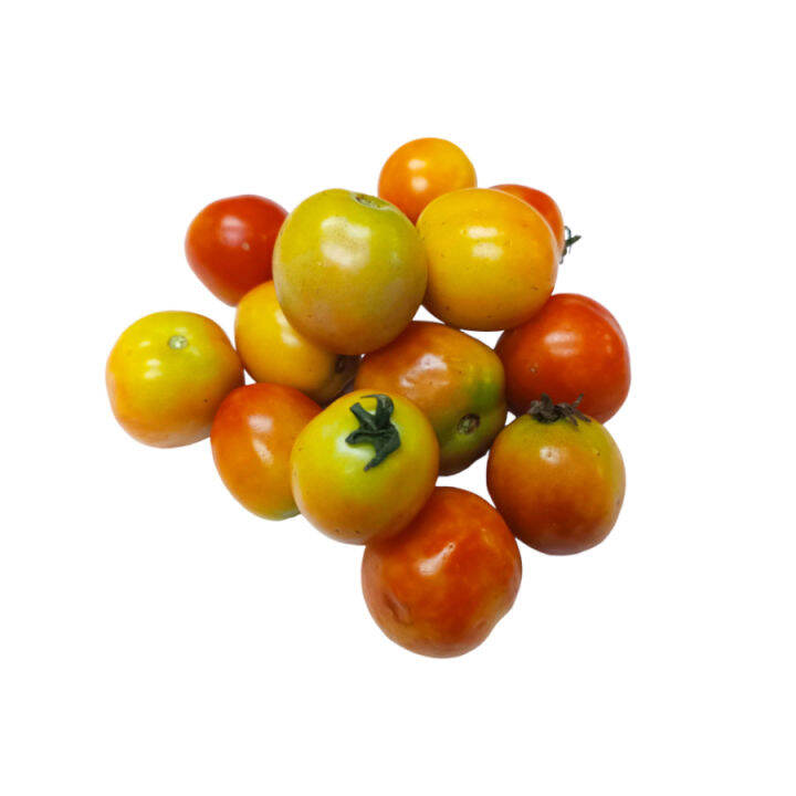 Tomato Native (400-500g) Fresh Harvest | Lazada PH