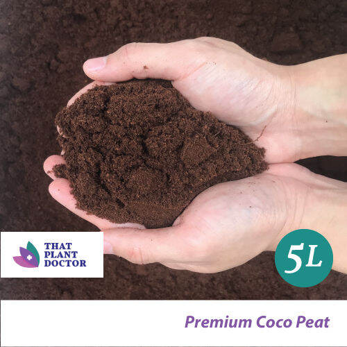 Premium Coco Peat (Fine) (Thailand Imported Grade / Excellent Moisture ...