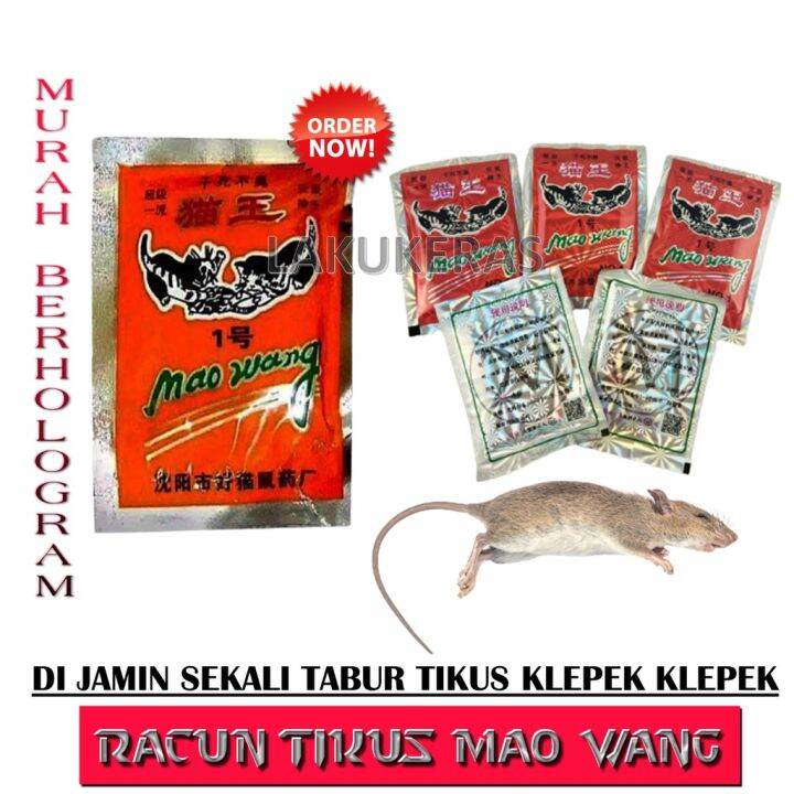 mao wang racun tikus 100% ampuh tikus mati kering dan tidak berbau ...