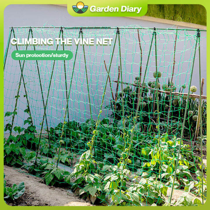 Horticultural net Planting protective bird and animal nets melon fruit ...